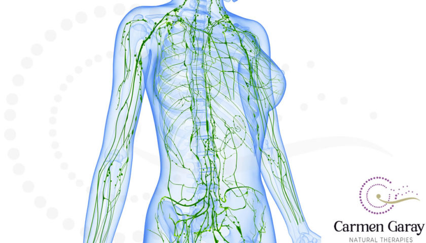 ¿Qué es el sistema linfático?, el gran desconocido